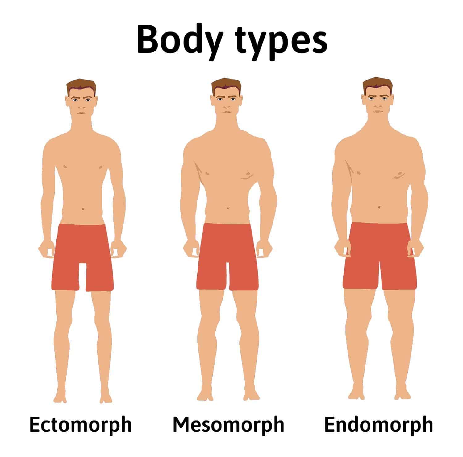 Getting Acquainted With Three Body Types - Discover And Embrace ...